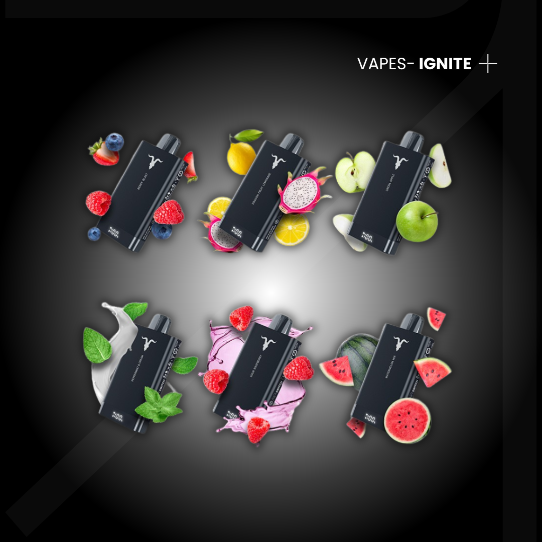 Ignite – Ementoring Import